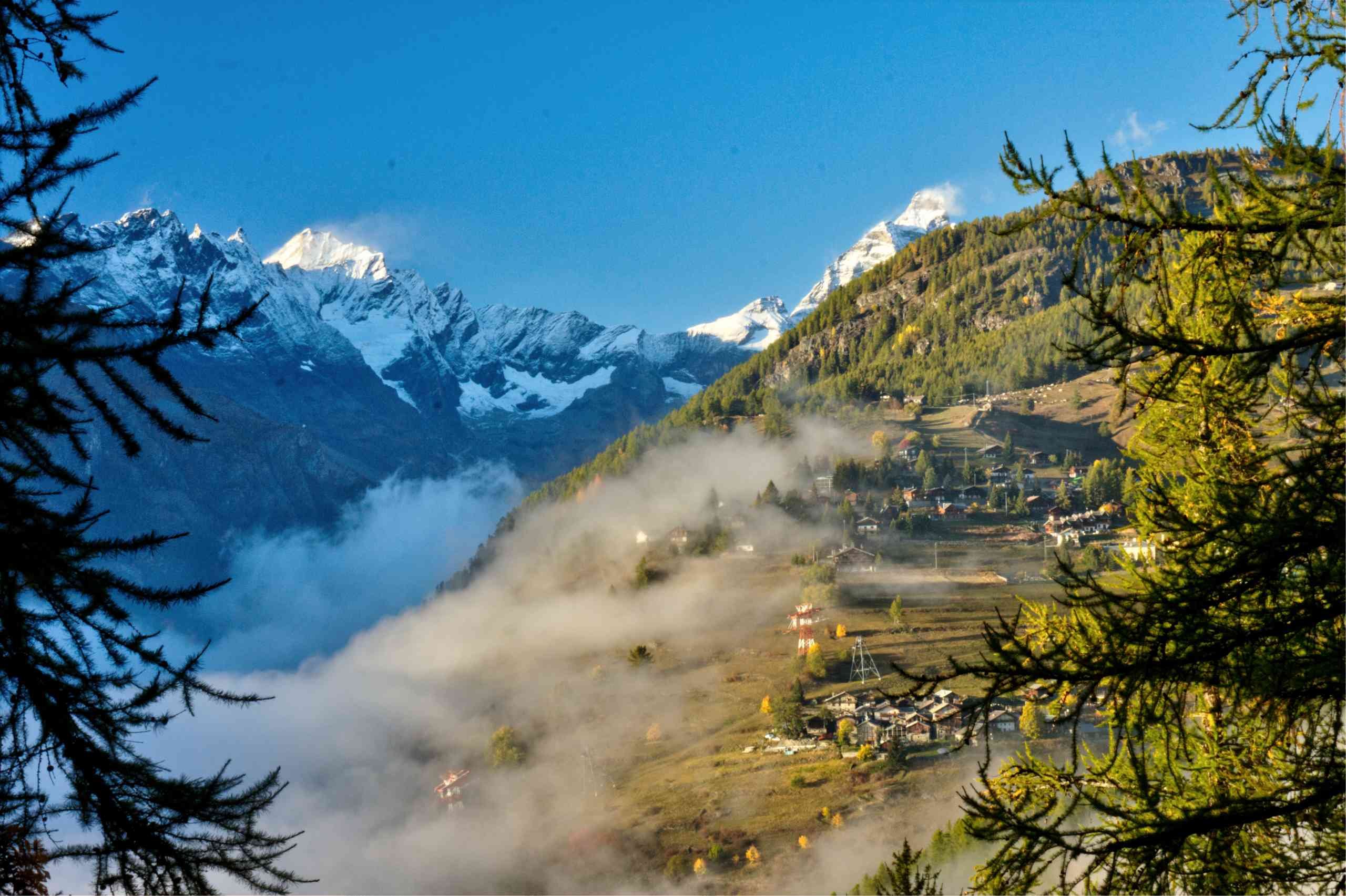 Chamois: der Zufluchtsort