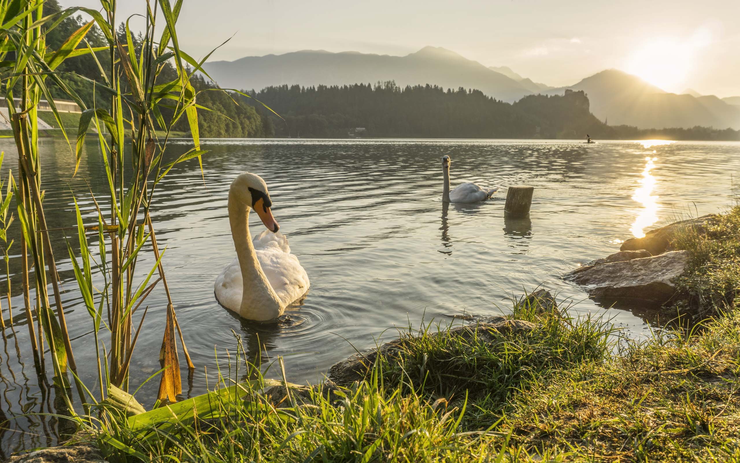 Bled – a jewel in the Alps